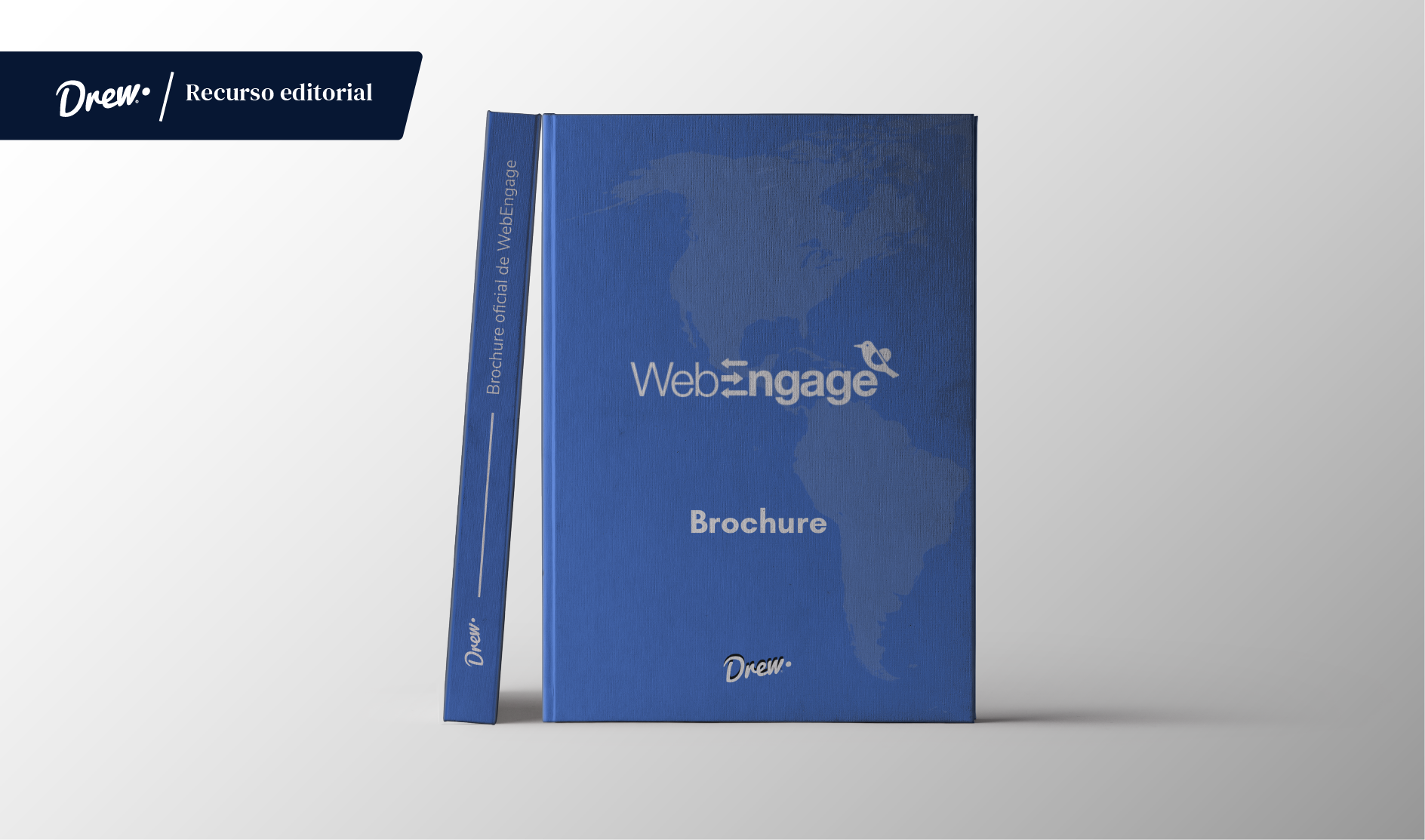 Brochure oficial de WebEngage
